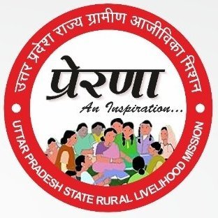 The/Nudge Institute